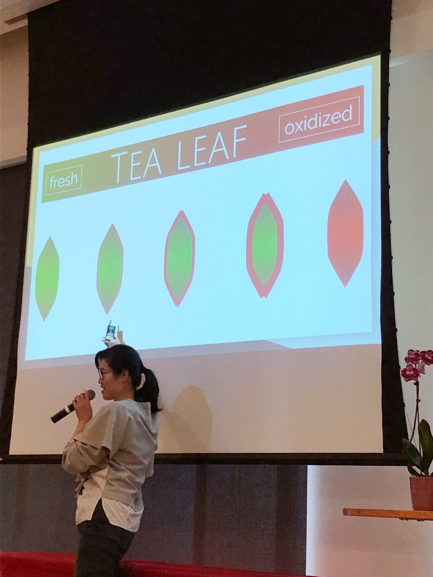 2018 Toronto Tea Festival | Event Recap - Tea in Spoons