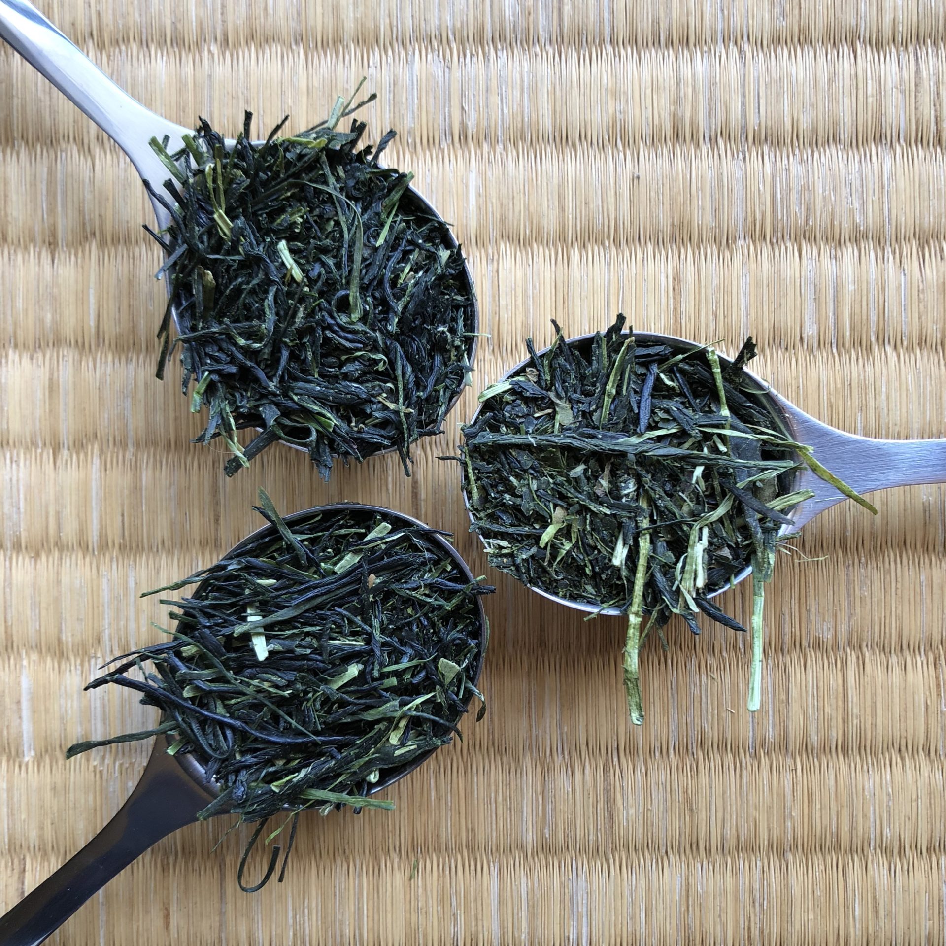 Comparing Shaded Japanese Green Teas (ft. Kyoto Obubu Tea Farms) | TEA ...
