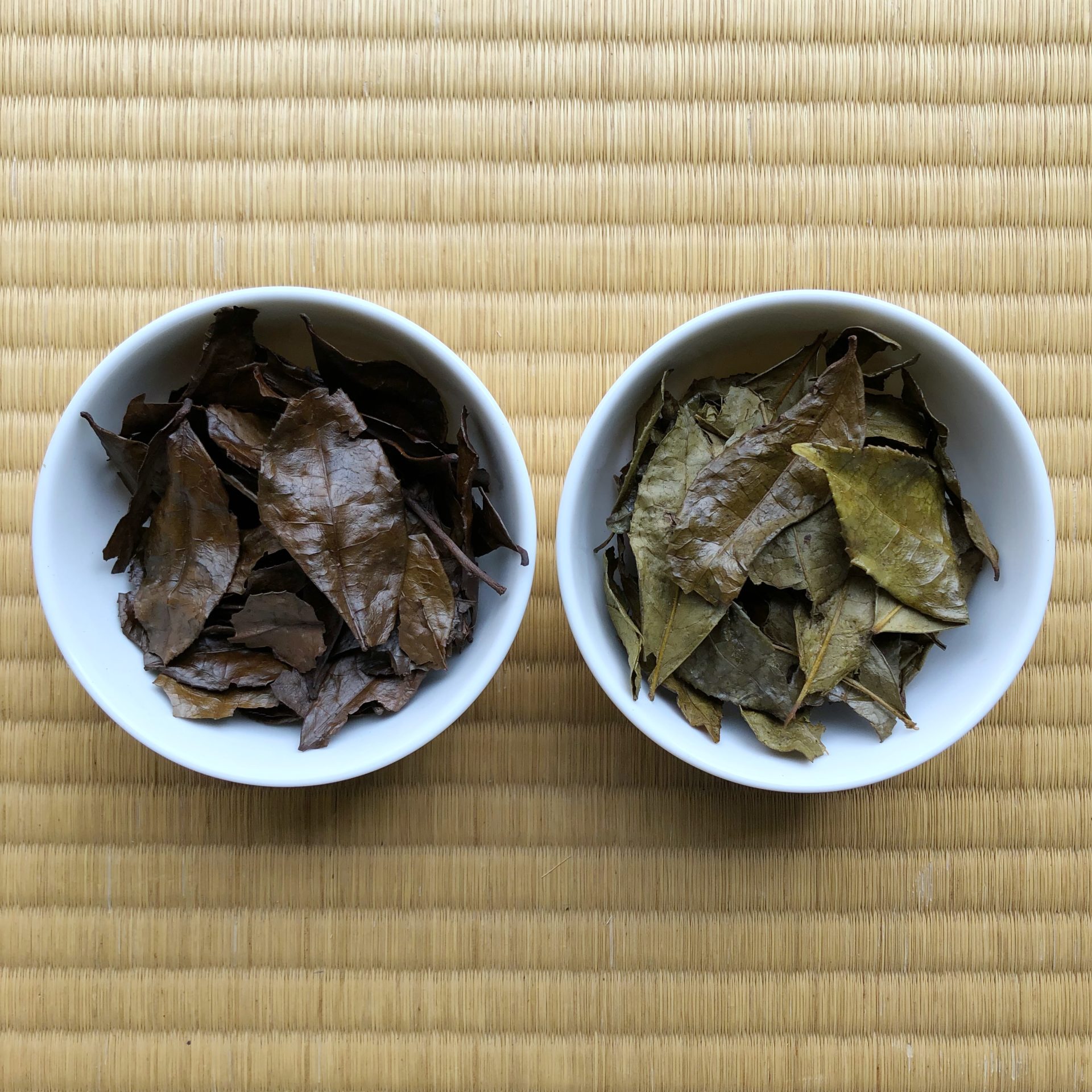 Introducting Kyobancha | TEA 103 - Tea in Spoons