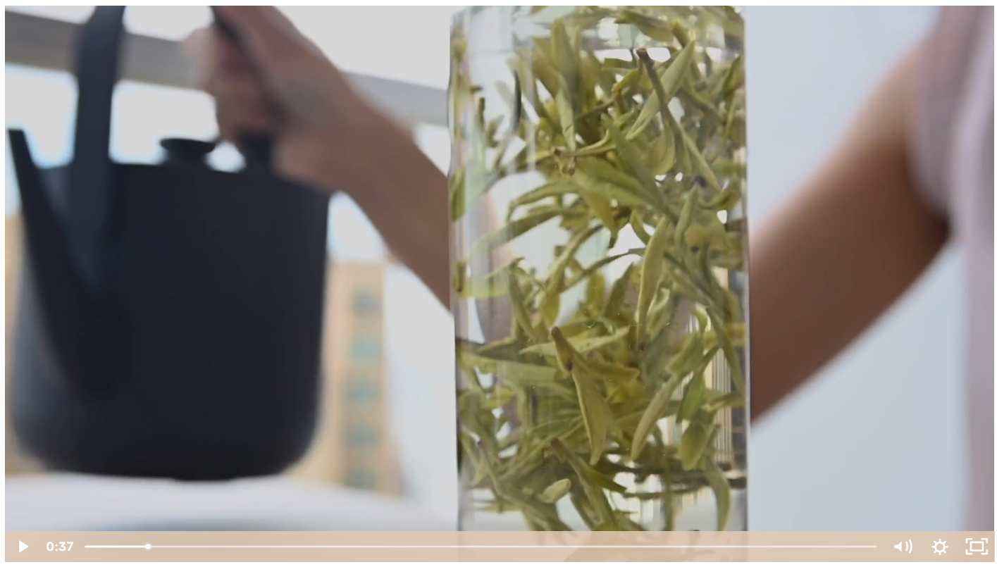 Teawala's Taste Tea like a Professional Course | Tea Course - Tea in Spoons