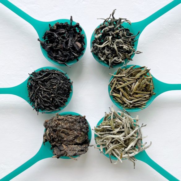 The Different Types of Teas | TEA 101 - Tea in Spoons