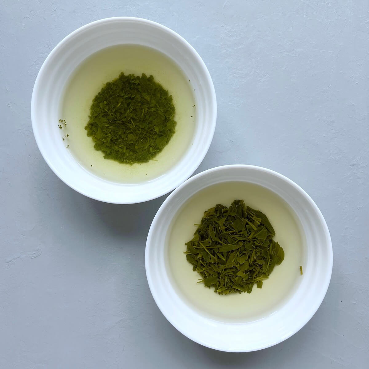 Tea Curious' Setting up the Tea Lab | Tea Course - Tea in Spoons