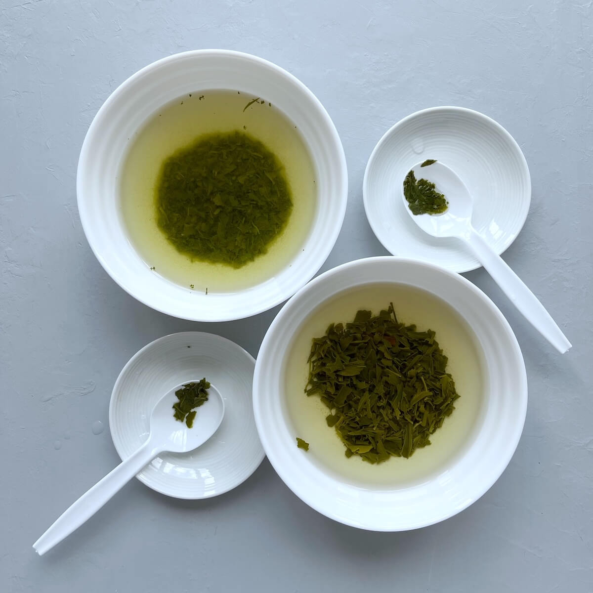 Tea Curious' Setting up the Tea Lab | Tea Course - Tea in Spoons