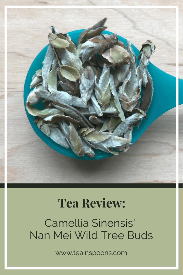 Camellia Sinensis Teahouse's Nan Mei Wild Tree Buds | Tea Review - Tea ...