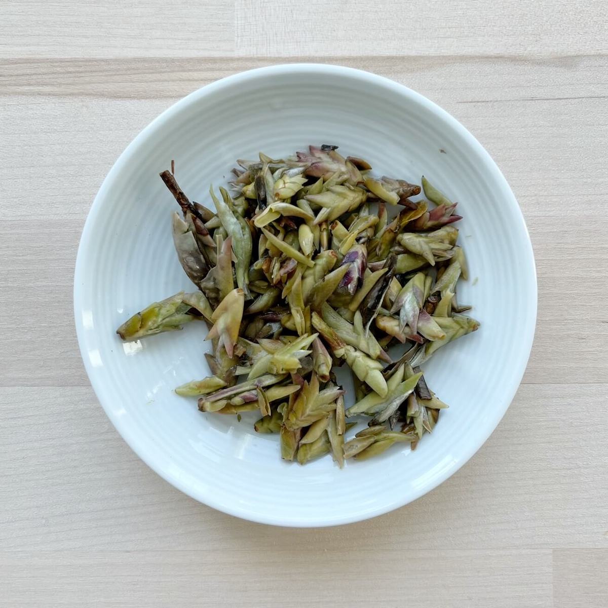 Camellia Sinensis Teahouse's Nan Mei Wild Tree Buds | Tea Review - Tea ...