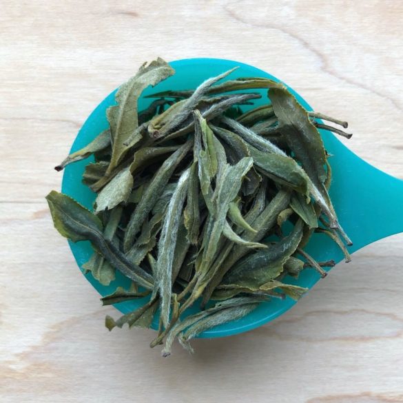 The Different Types of Teas | TEA 101 - Tea in Spoons