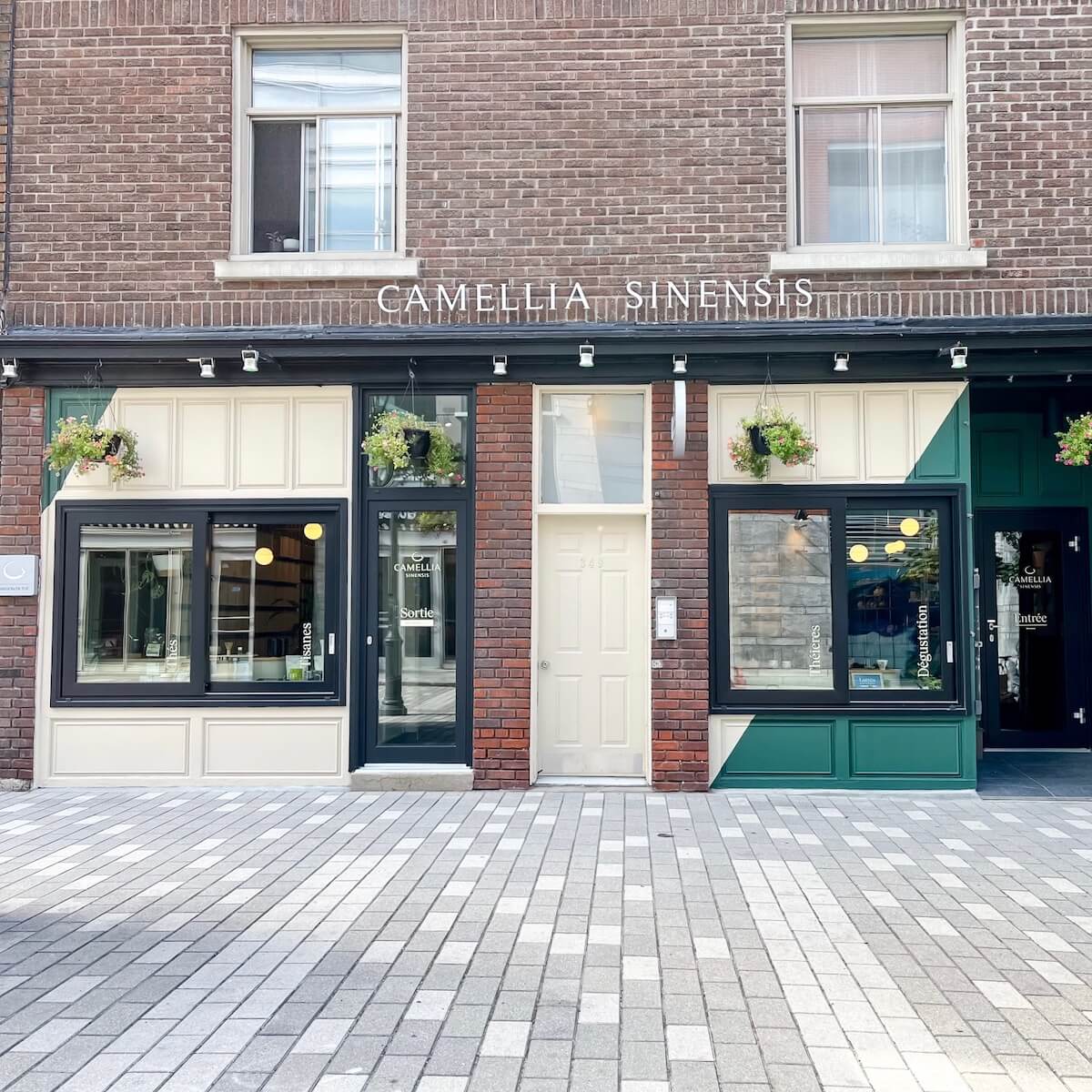 Camellia Sinensis Teahouse's Professional Tasting Set (Emery Street ...